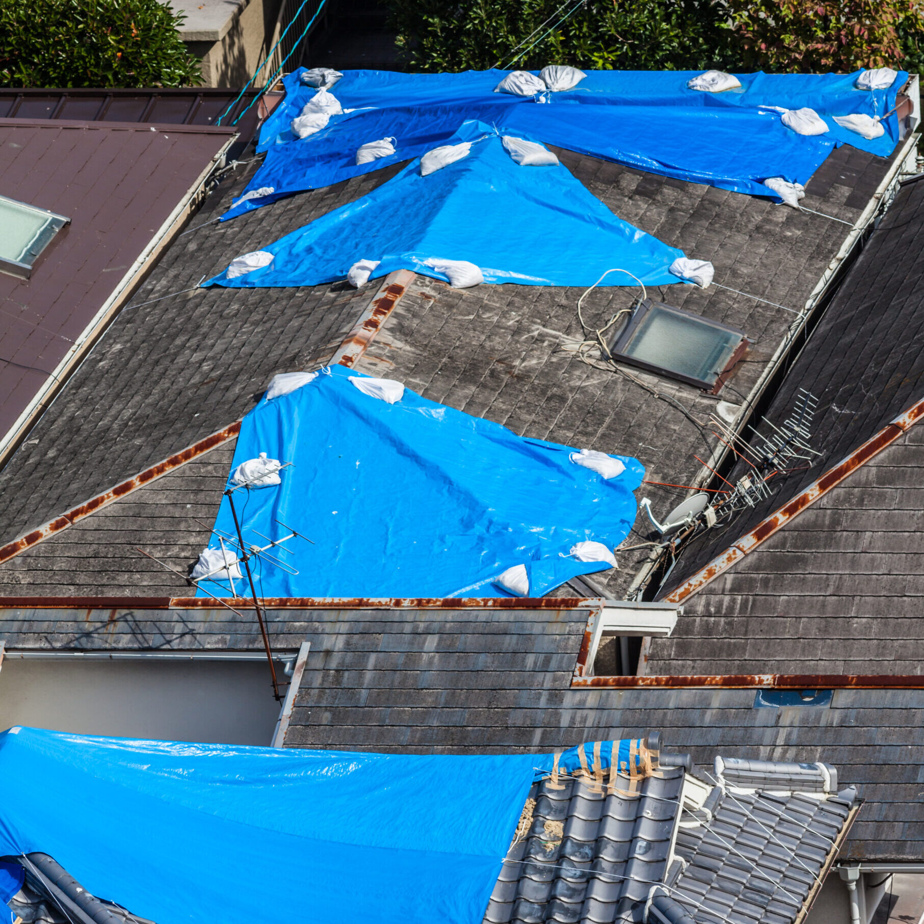 Hurricane Season: Rope Essentials - Quality Nylon Rope