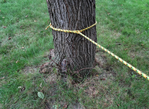 Hurricane Season: Rope Essentials - Quality Nylon Rope